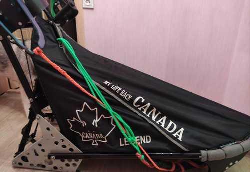 Нарты для собак спортивные Canada