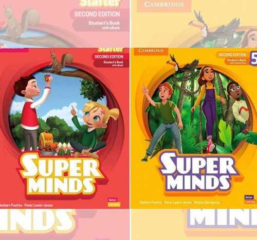 Super Minds second edition