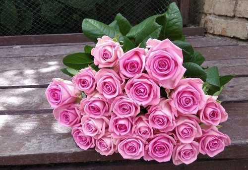 Букет из 21 розовых роз Новосибирск