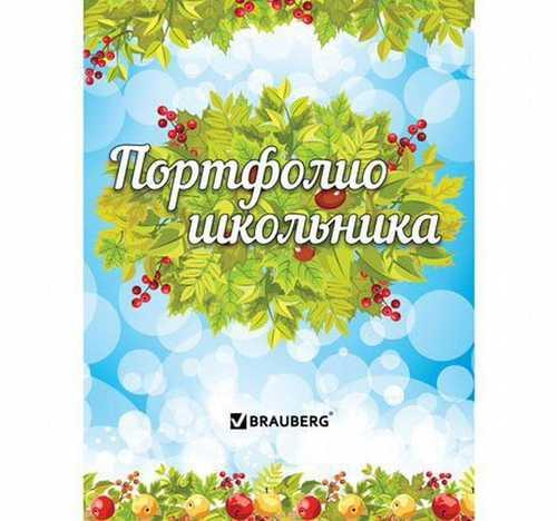 Листы-вкладыши для портфолио школьника, 14 раздело