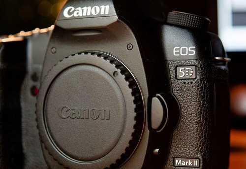 Canon EOS 5D Mark II полный кадр