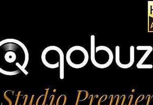 Qobuz Studio Premier-3 мес. подписка