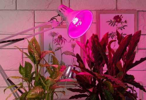 Фитолампа и светильники для растений