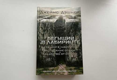 Книга Бегущий в лабиринте