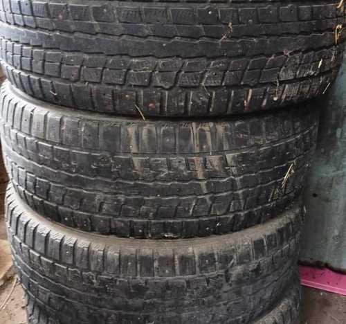 Accelera Eco Plush 4/5 R7