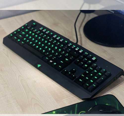 Механическая клавиатура с подсветкой Razer Blackwi