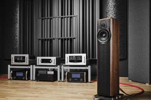 Sonus faber amator maxima