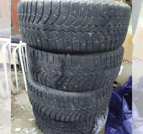 Bridgestone Blizzak Ice 205/55 R16