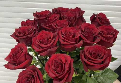 Розы красные Голландия Эквадор 100 см