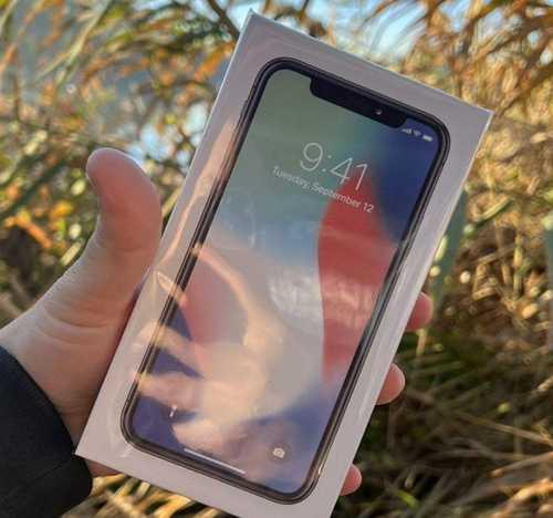 iPhone X, 256 ГБ