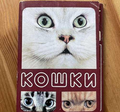 Кошки