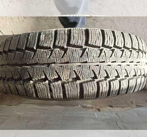 Cordiant Polar SL 195/65 R15