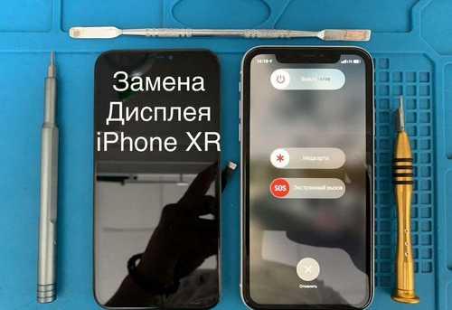 Замена дисплея iPhone XR Original. Ремонт iPhone