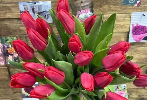 Тюльпаны к 8 марта оптом и розница