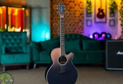 Takamine LTD 2024