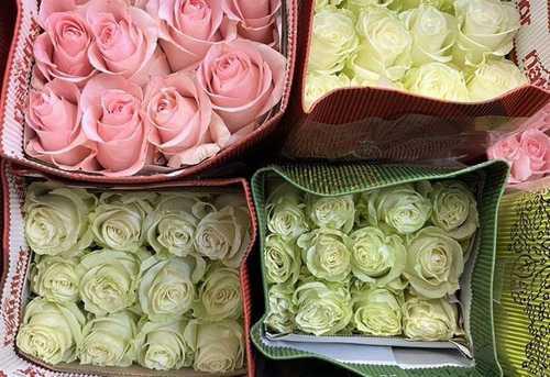 Роза букет цветы доставка опт