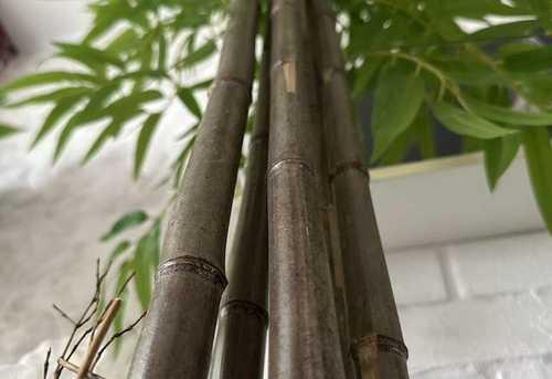 Искусственное дерево бамбук