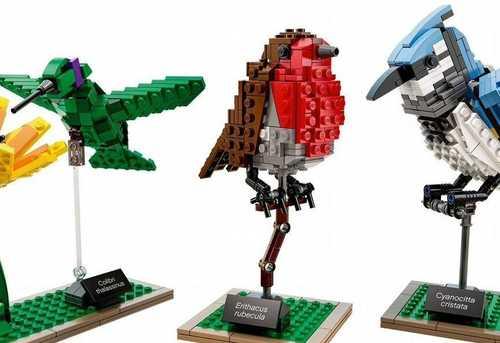 Lego 21301 Birds Ideas 2015