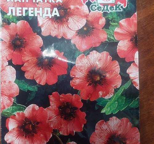 Лапчатка непальская Легенда