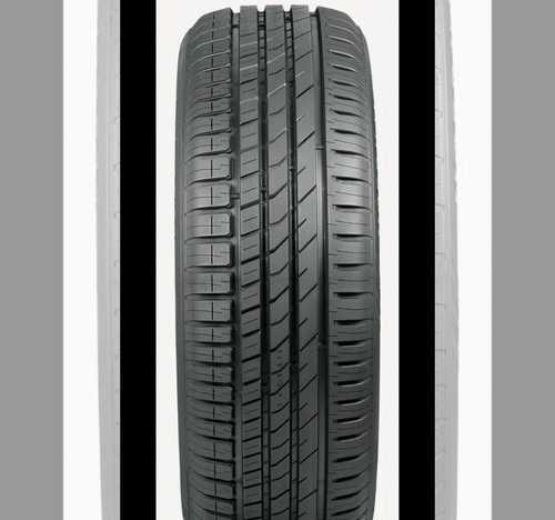 Nokian Tyres Nordman SX 205/55 R16 91H