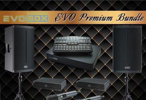 Комплект караоке для дома Evo Premium Bundle