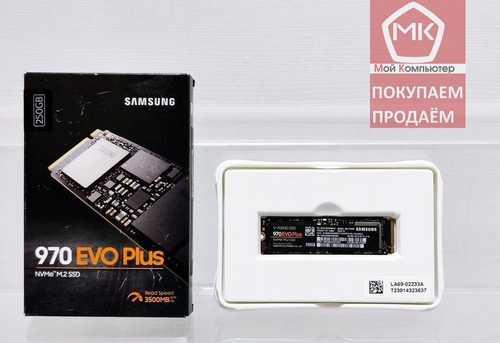 250GB SSD Samsung 970 EVO Plus (M.2 PCI-E 3.0 x4)