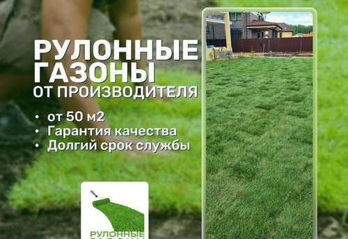 Рулонный газон. От производителя