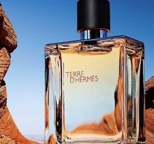 Hermes - Terre d'Hermes