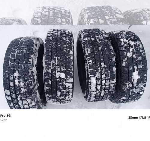 Dunlop SP Winter Maxx WM01 185/65 R14