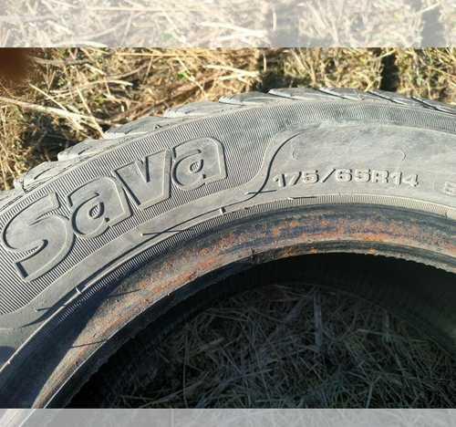 Sava Eskimo Stud 175/65 R14