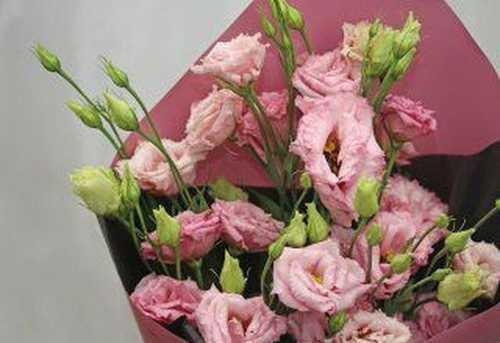 Букет из 7 розовых эустом в стильной упаковке