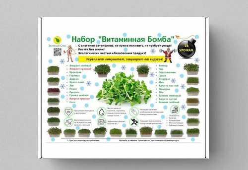 Набор для выращивания микрозелени