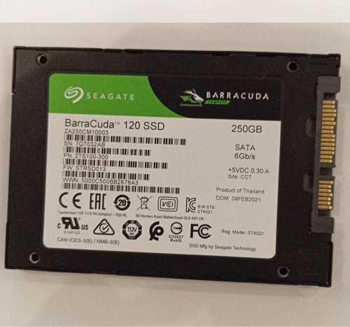 Жесткий диск ssd seagate barracuda 250gb