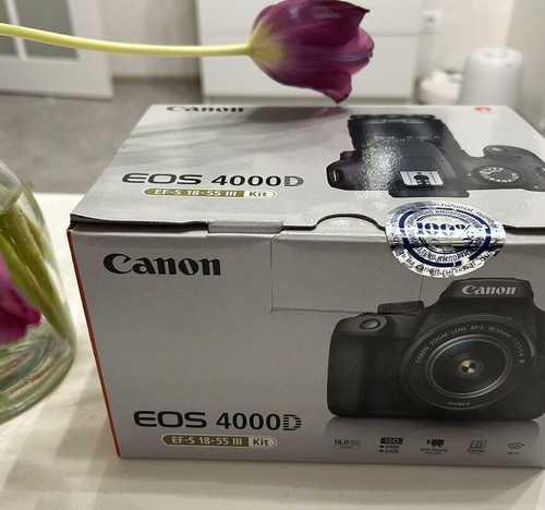Фотоаппарат Canon EOS 4000D kit