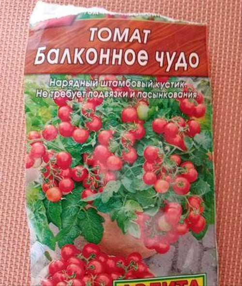 Рассада томатов черри