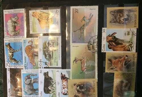 Небольшая коллекция марок