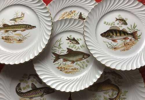 1950год Франция 24,5см тарелки Рыбы Клеймо Сервиз