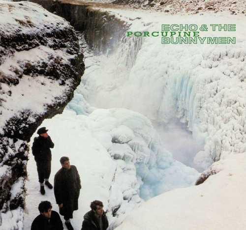 Виниловая пластинка Echo & The Bunnymen - Porcupin