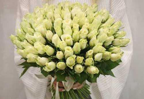 Букет из 101 белой розы 35-40 см (Кения) под ленту