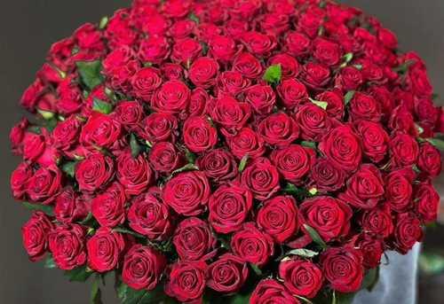 151 роза, цветы на день влюбленных, 14 февраля