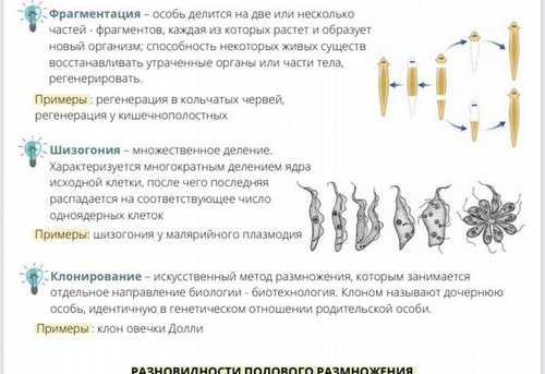 Учебник по биологии огэ егэ