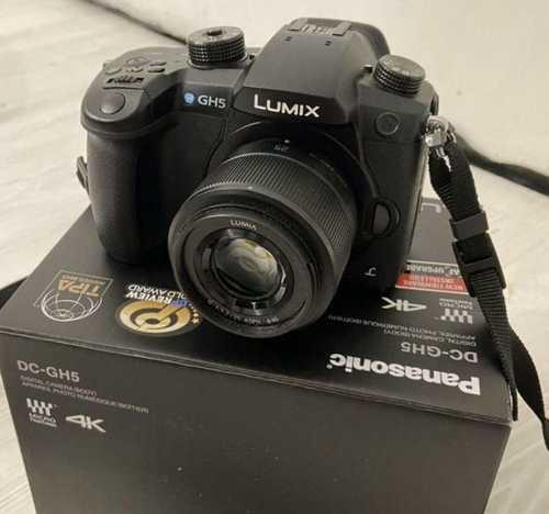 Panasonic Lumix gh5 body