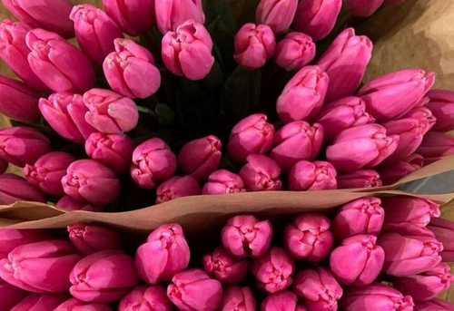 Свежие и Очень Красивые Тюльпаны на 8 марта