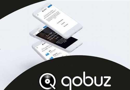 Qobuz Studio Premier. 3 месяца. Любая страна