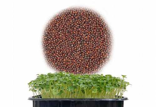 Семена Микрозелень от 50 грамм арт.0026