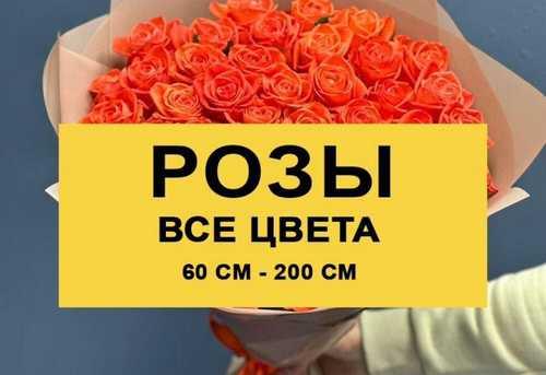 Букет из розы с доставкой 25 51 501 1001 курьером