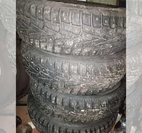 Accelera Alpha 175/70 R13