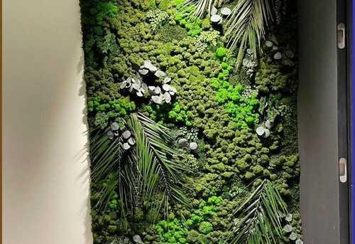 Живые растения: стены из зелени. Арт: 215192