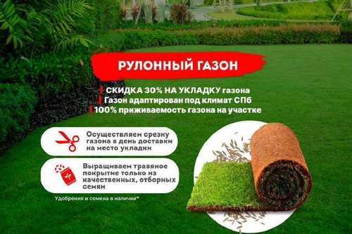Рулонный газон Премиум