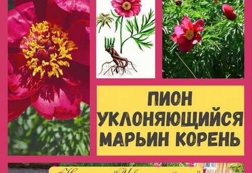Семена цветов Почтой по России